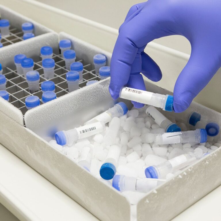 Dry Ice – Hong Kong Ice & Cold Storage Company Limited